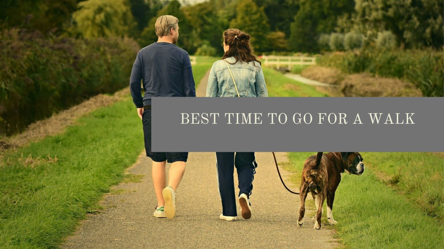 Best Time To Go For A Walk » Healthy Lifestyle