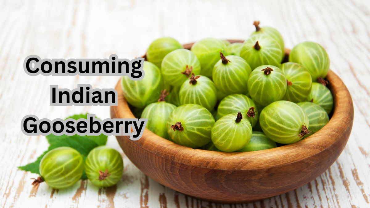 9 Benefits of Consuming Indian Gooseberry