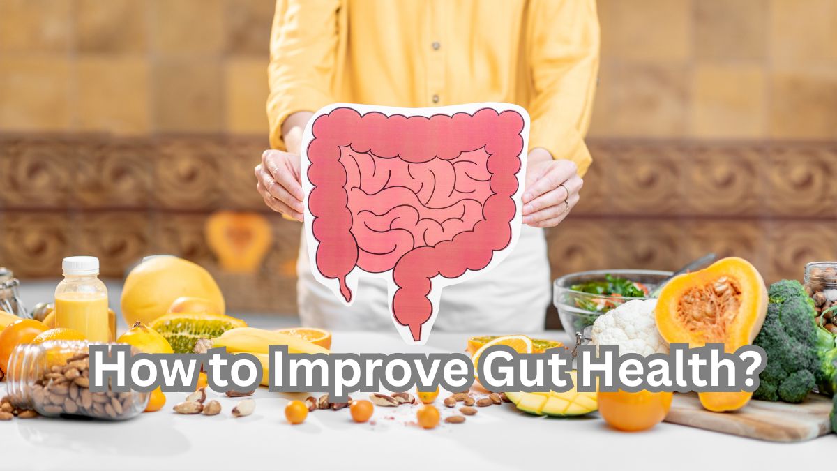 How to Improve Gut Health? » Healthy Lifestyle