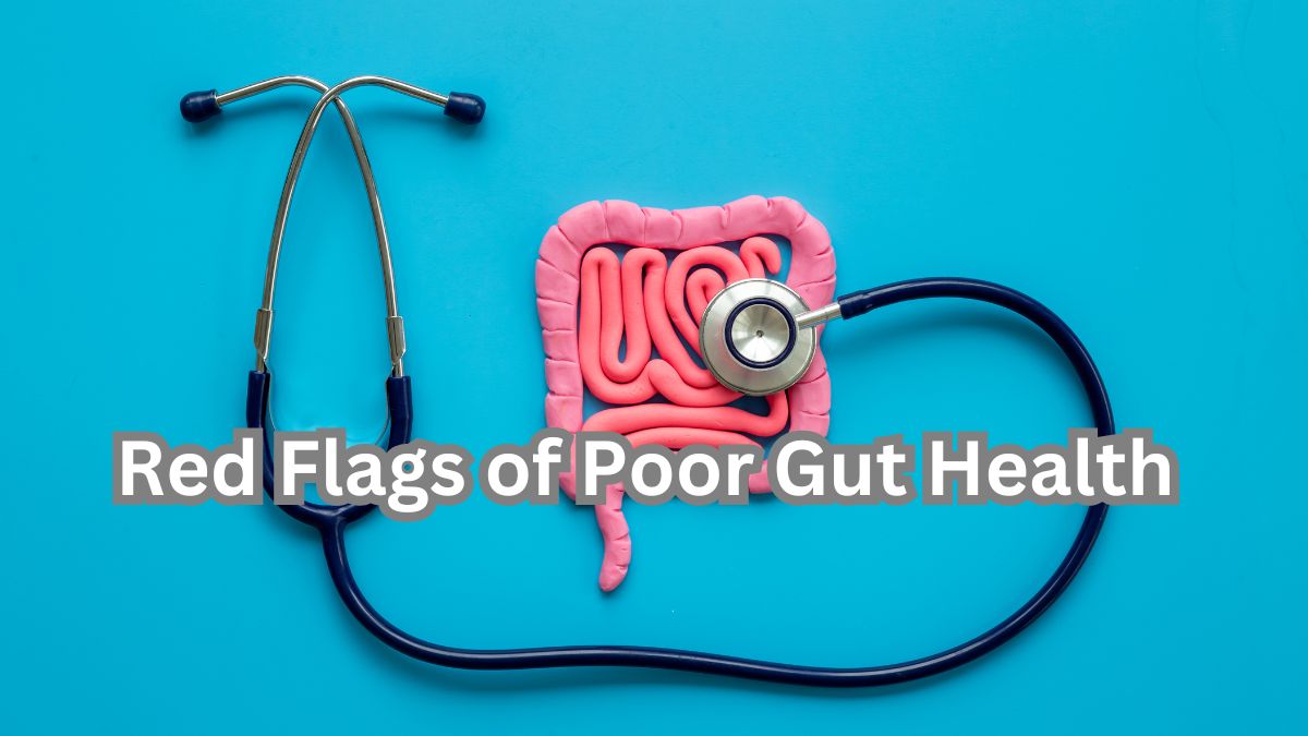 9 Red Flags of Poor Gut Health You Shouldn’t Ignore