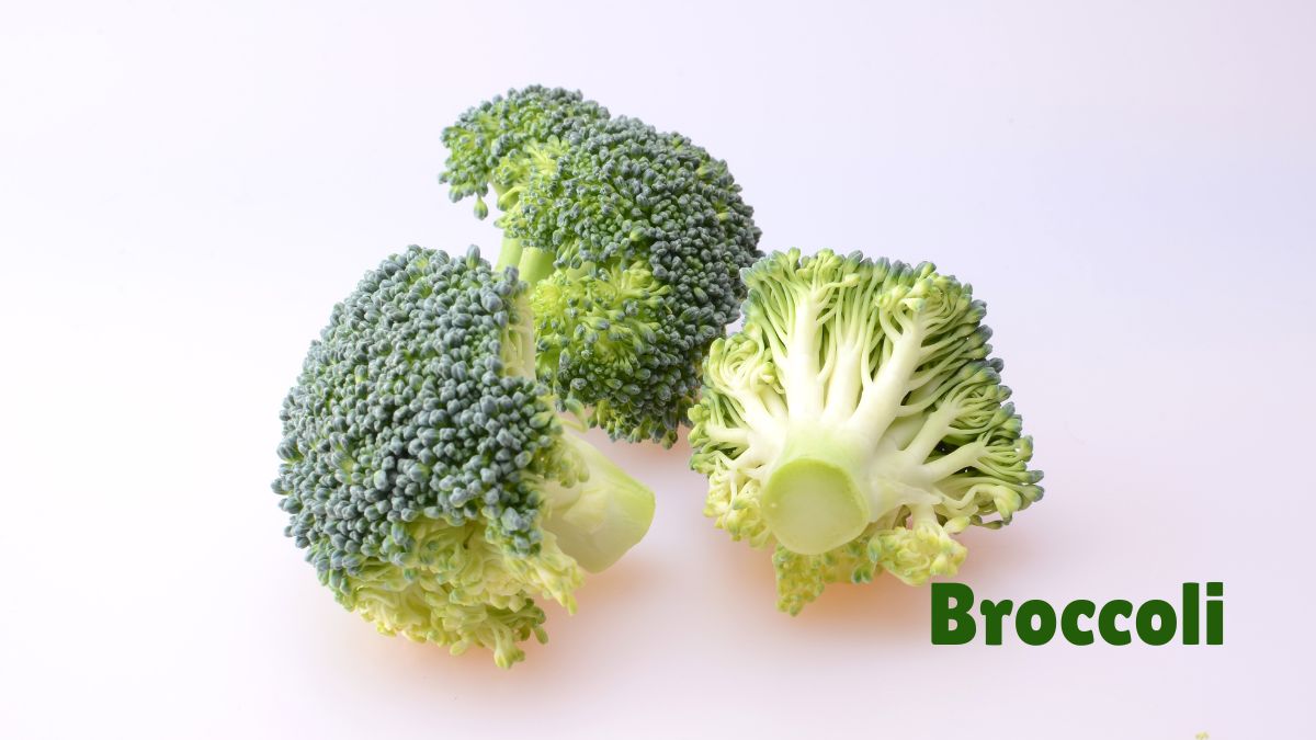 10 Green Vegetables That Have Highest Protein Content
