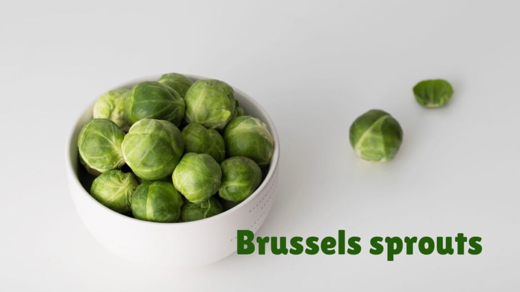 10 Green Vegetables That Have Highest Protein Content