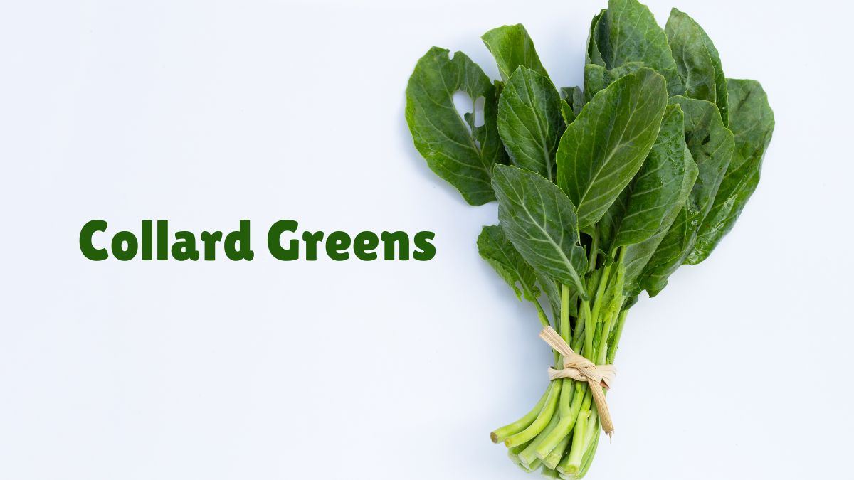 10 Green Vegetables That Have Highest Protein Content