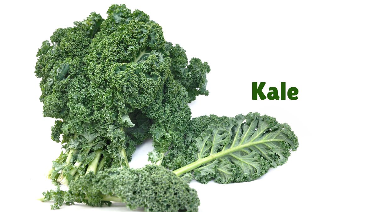 10 Green Vegetables That Have Highest Protein Content