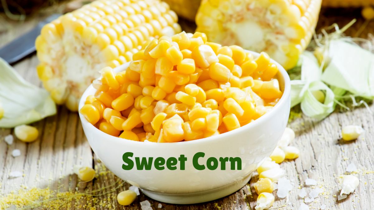 10 Green Vegetables That Have Highest Protein Content