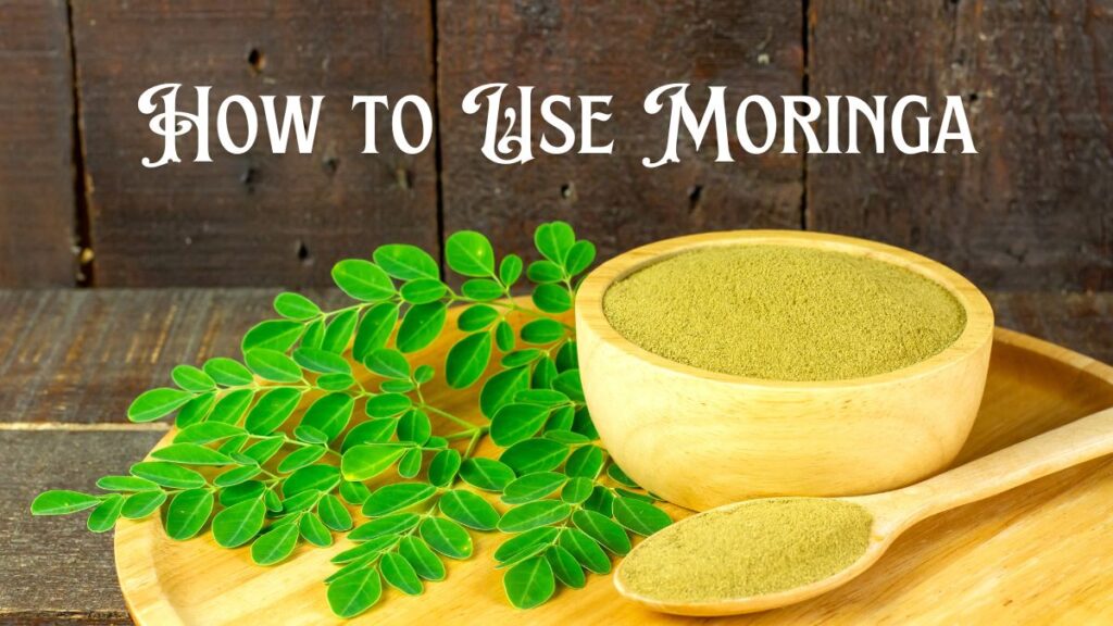 How to Use Moringa for Better Health Management? | Dental Teachers