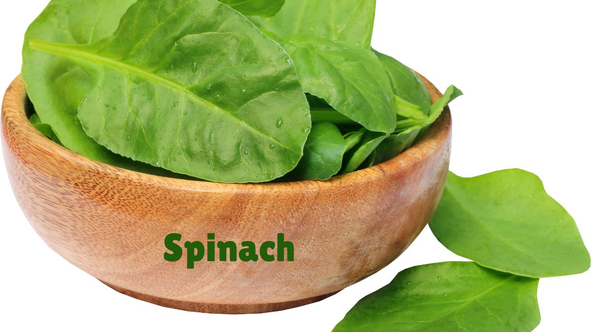 10 Green Vegetables That Have Highest Protein Content