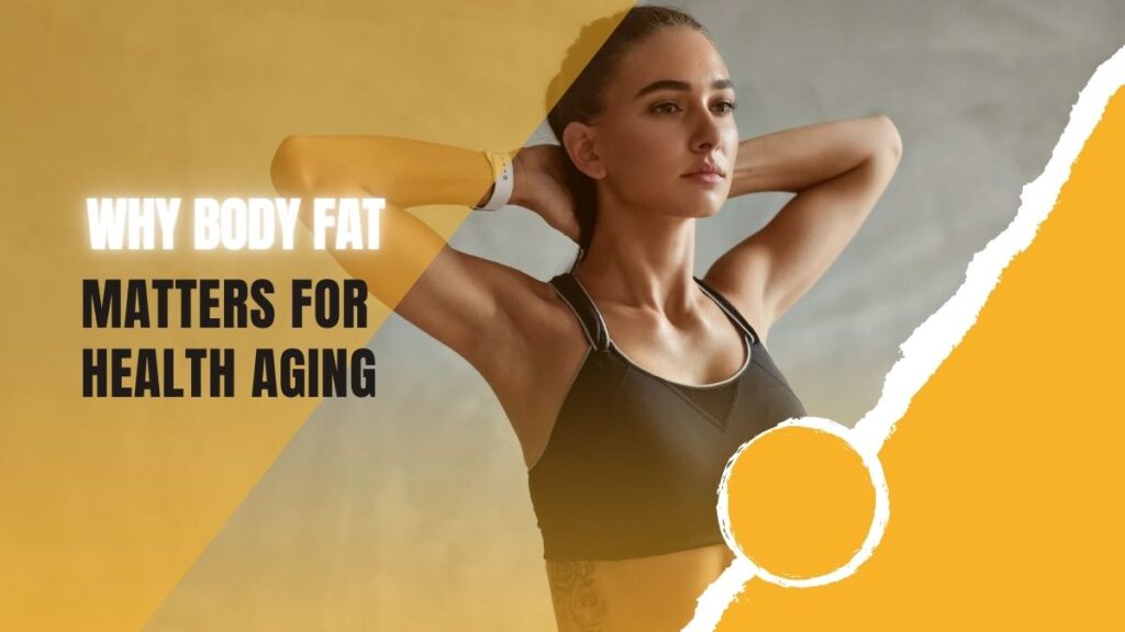 Why Body Fat Matters for Healthy Aging? » Healthy Lifestyle